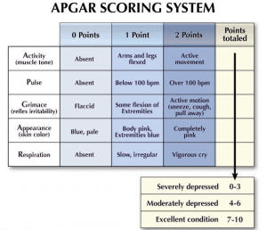 What's a Low APGAR Score and Why Is It Important?
